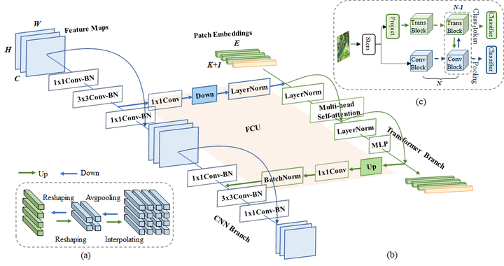 Conformer: Local Features Coupling Global Representations for Visual Recognition（局部特征+全局表示）-阅读笔记 ...