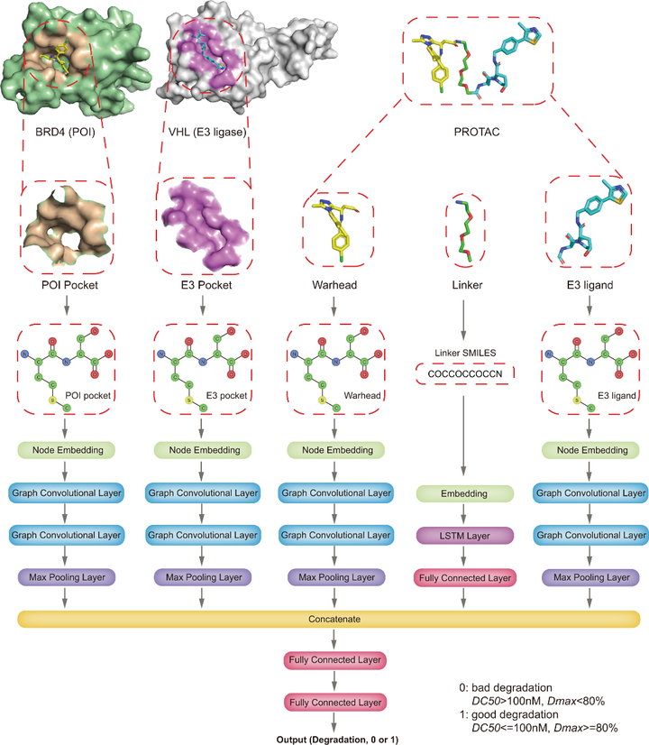 Nature Communications | 深度学习设计PROTACS - 知乎
