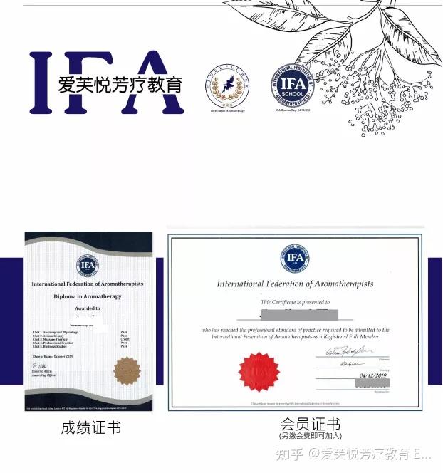 2024年IFA国际芳疗师认证课丨全新升级