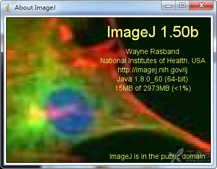 imageJ批量测量所选区域面积? - 知乎