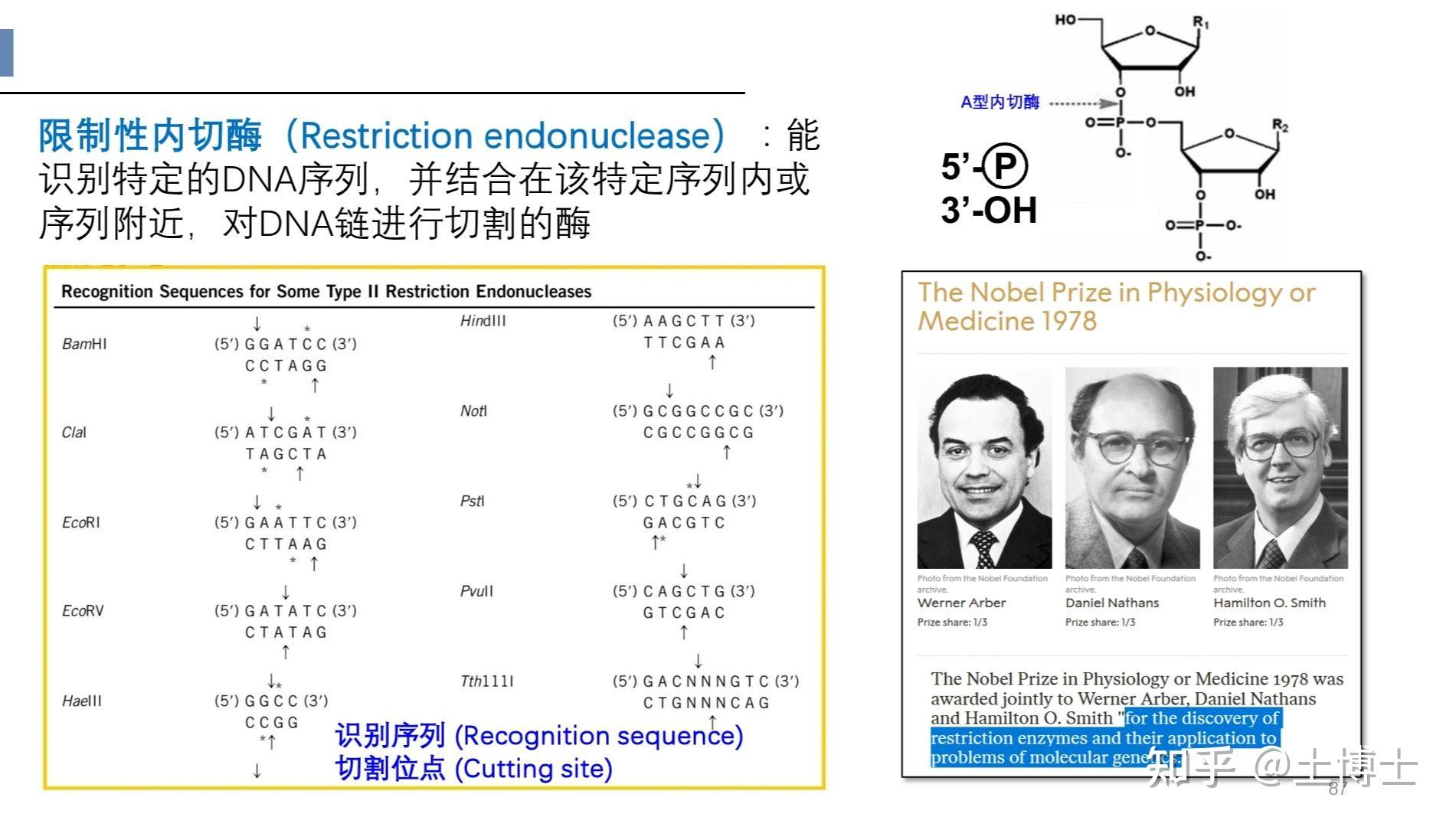 请问同源重组连接怎么看平末端还是黏性末端 知乎