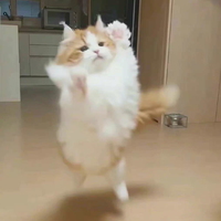 WRF高分辨率地形数据[srtm_3s] - 知乎