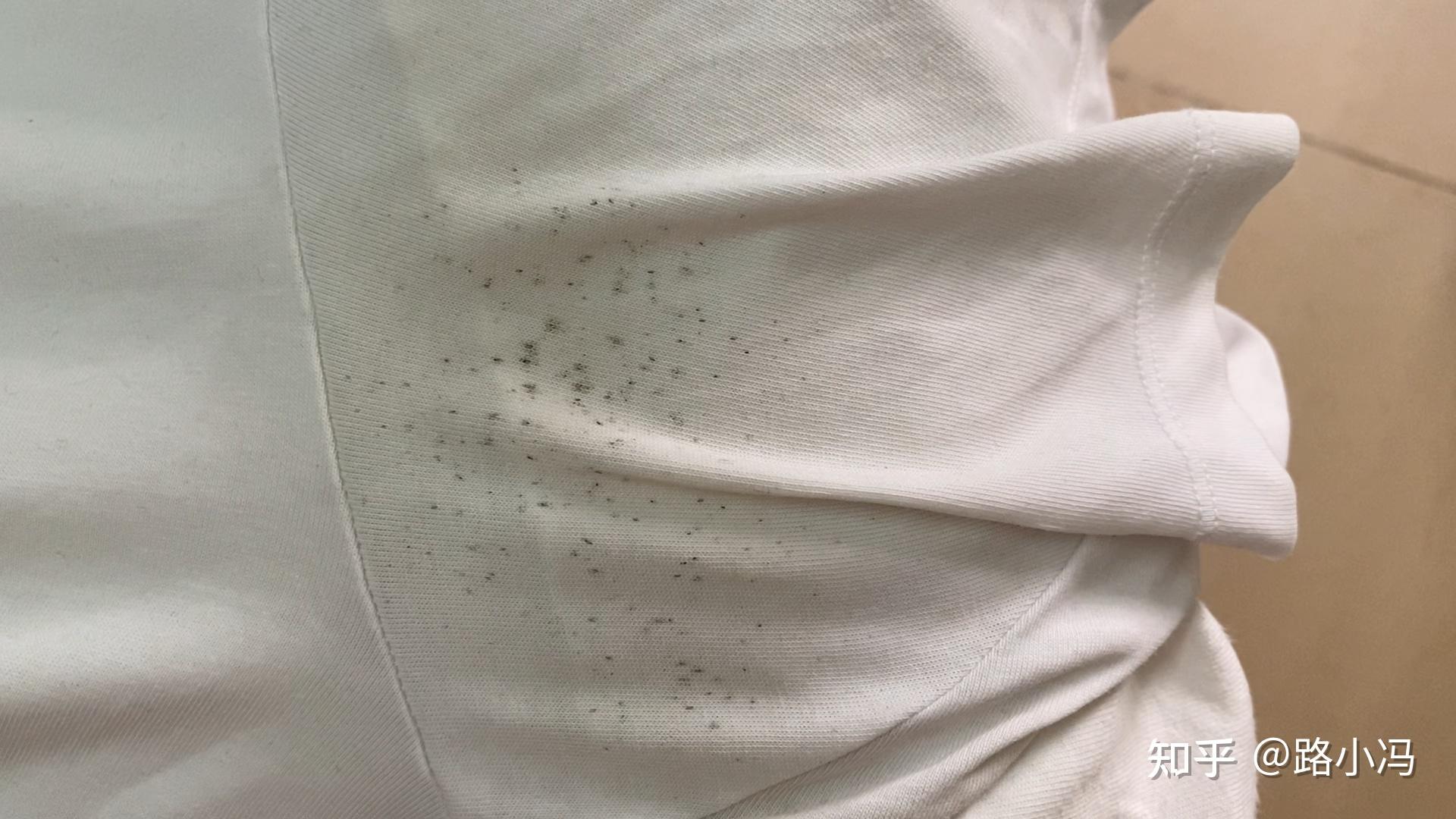 衣服发霉就真不能穿吗 知乎