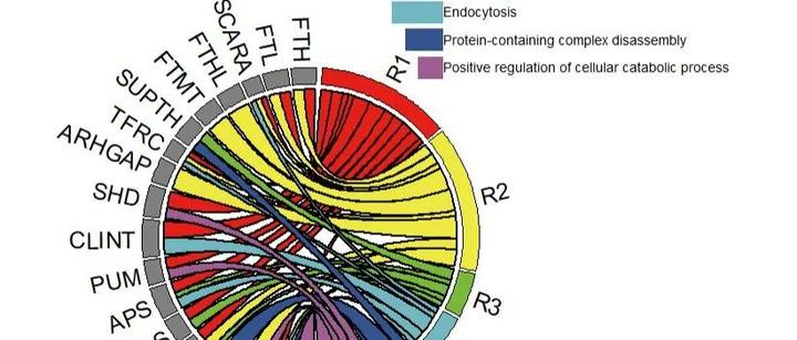 FigDraw 14. SCI 文章绘图之和弦图及文章复现（Chord Diagram） - 知乎