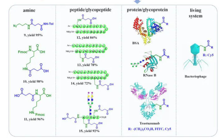 DBCO-NH2二苯基环辛炔-氨基/DBCO-PEG-NH2 二苯基环辛炔-聚乙二醇-氨基 - 知乎