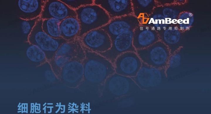 AmBeed小课堂 | 细胞行为染料（一） - 知乎