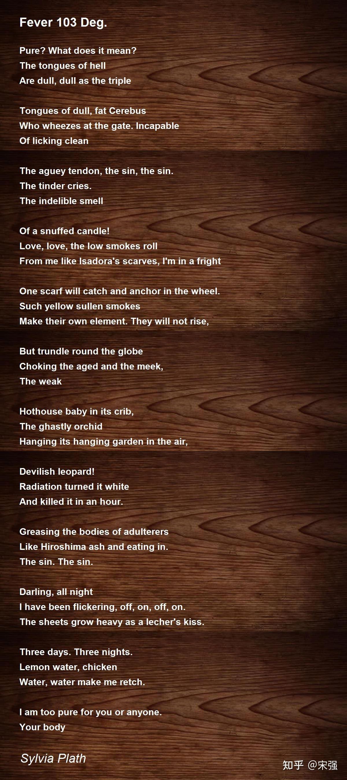 Sylvia Plath(西尔维娅·普拉斯)《Fever 103°》《高烧103度》解析 - 知乎