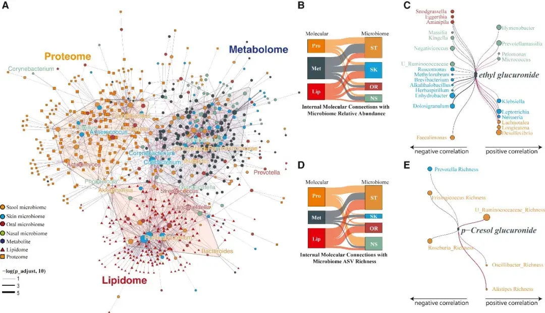 Cell Host&Microbe：揭示人体菌群的长期动态特征和与宿主的互作关系 - 知乎