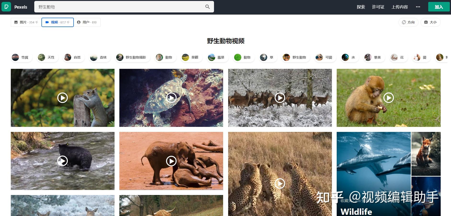 去哪可以找到用于制作视频的片头、片尾的视频、音频素材？