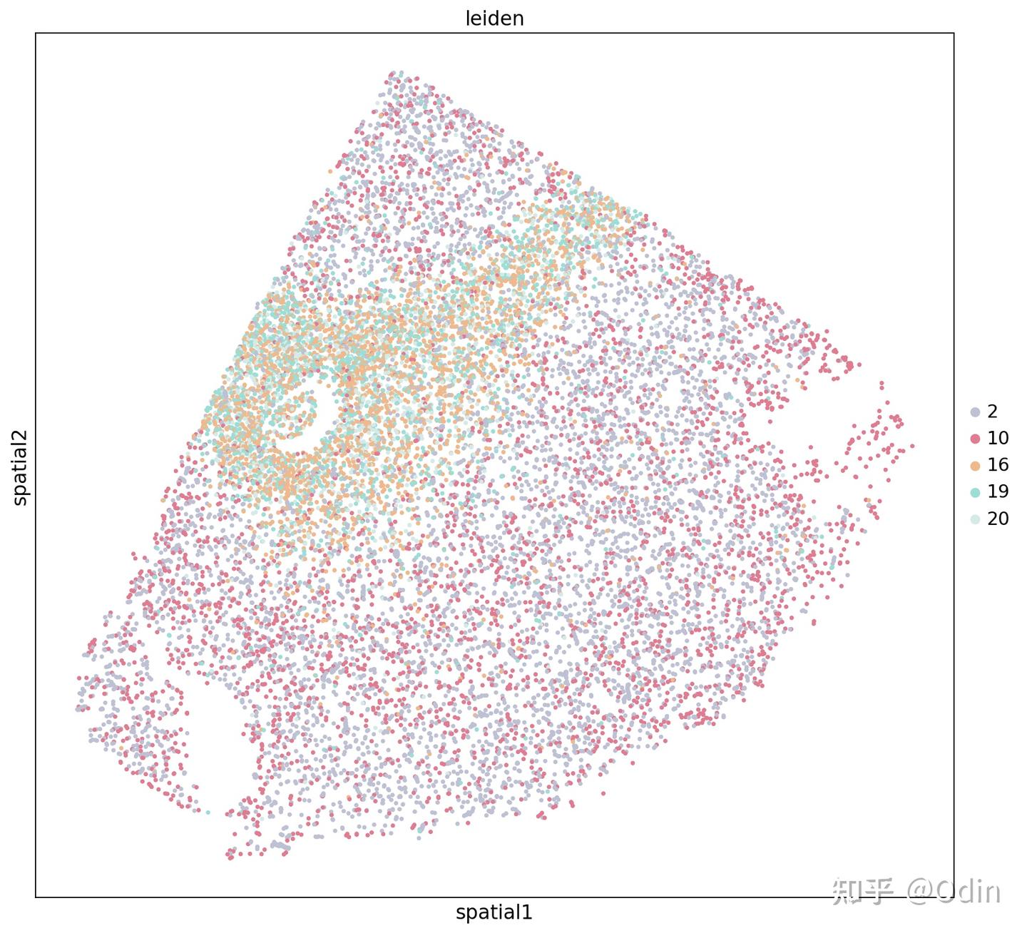 教程：用scanpy和squidpy分析单细胞空间转录组数据 - 知乎