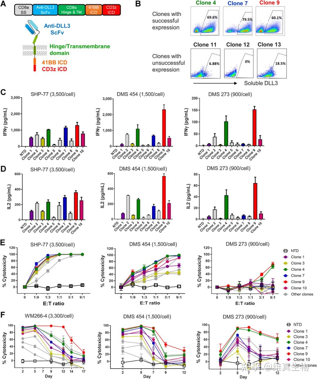 IL-7、IL-15细胞因子在CAR-T细胞疗法中发挥什么作用？ - 知乎