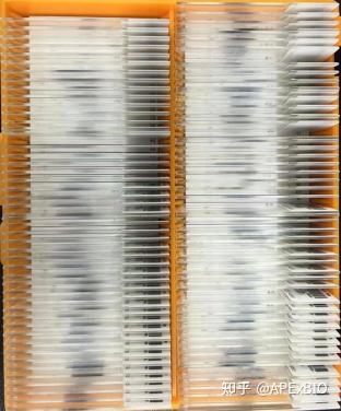 干货分享 | 一文带您全面了解FFPE样本 - 知乎