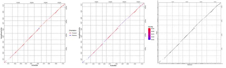 R绘图 | mummer比对可视化 - 知乎