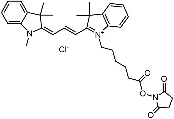 Cy3-NHS酯在动物活体实验中的注意事项有哪些？ - 知乎