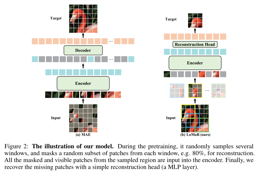 快MAE3.1倍、BEiT5.3倍！基于局部mask重建的高效自监督视觉预训练方法LoMaR，同时提高训练精度和效率！ - 知乎