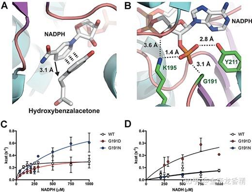 香精与香料(71)—覆盆子酮(Raspberry ketone) - 知乎