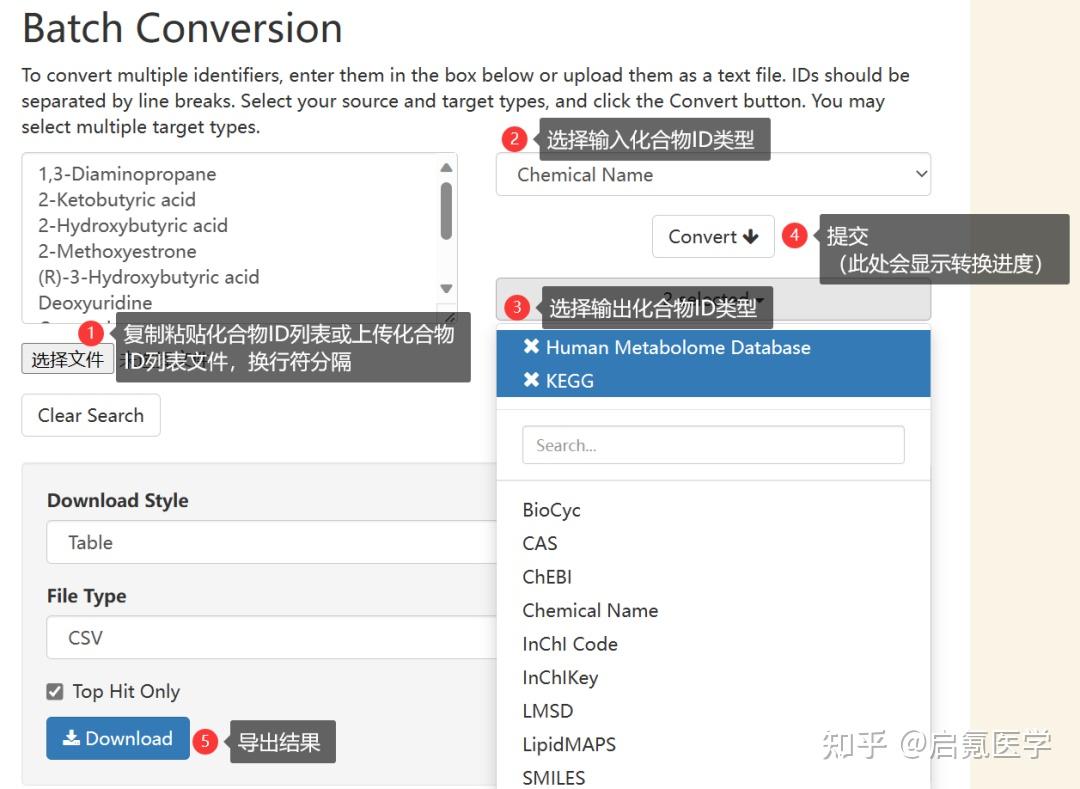 一文教你进行多种ID转换（下） - 知乎