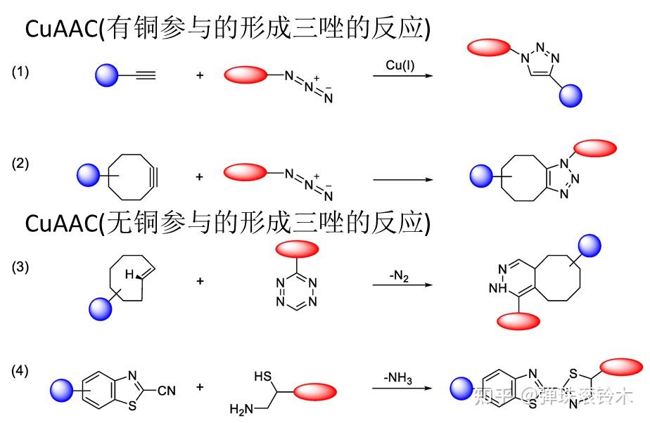 Click chemistry-Synaffix-ADC - 知乎