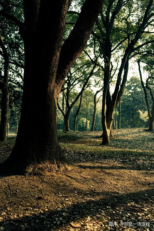 Springboot+ChatGLM+DeepSee实战AI数字人面试官系统 - 知乎