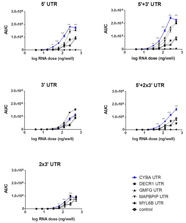 在设计基因序列时时候该选用什么样的序列作为5‘及3’UTR? - 知乎