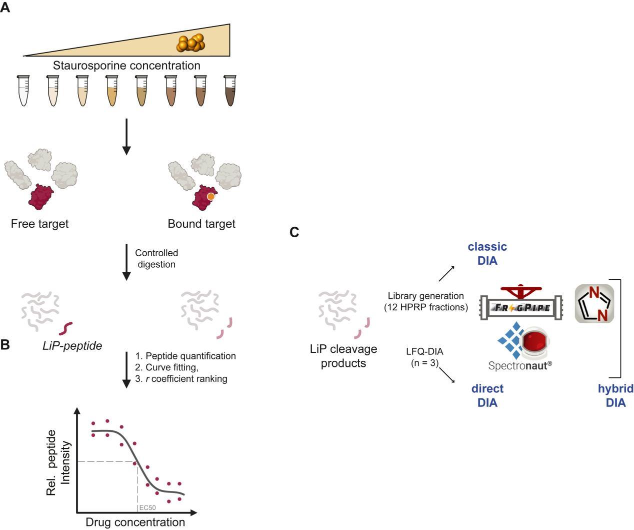 解锁蛋白质结构的奥秘：LiP-MS 技术引领结构蛋白质组学与药物发现新革命 - 知乎