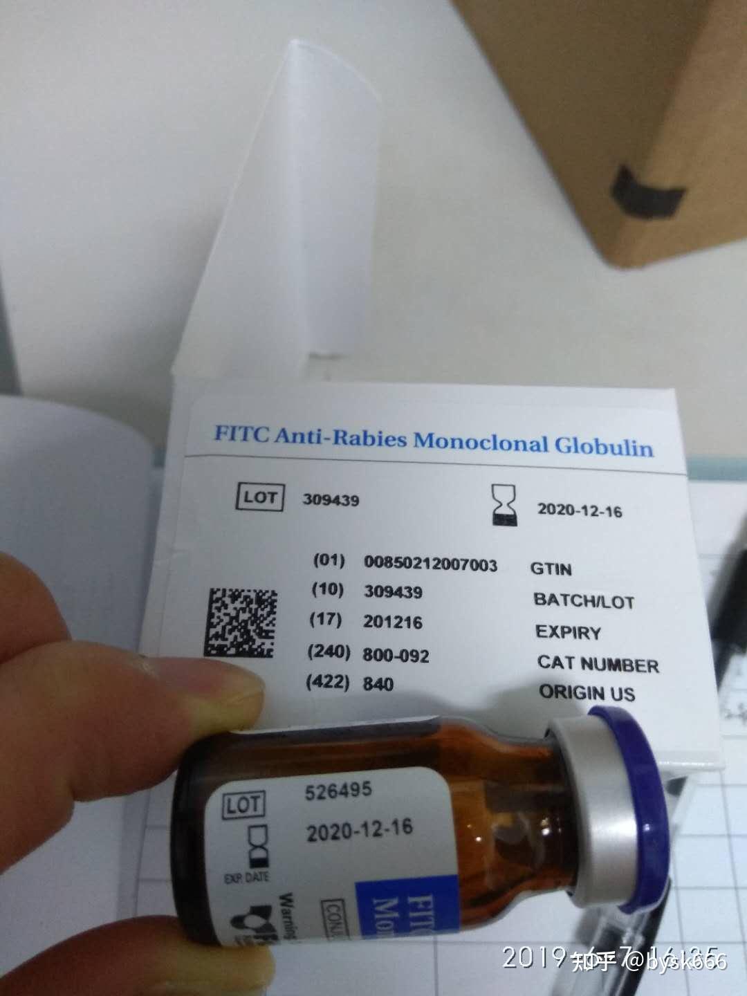 【干货分享】狂犬实验RFFIT操作程序 - 知乎