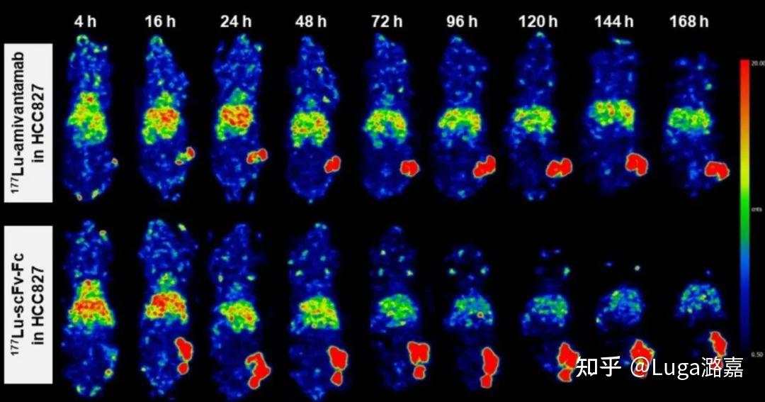 镥177-Lu：癌症治疗的新希望，精准靶向，疗效显著 - 知乎
