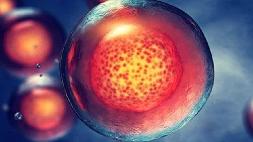 现成细胞疗法！FDA批准Ryoncil用于治疗类固醇难治性急性移植物抗宿主病 - 知乎