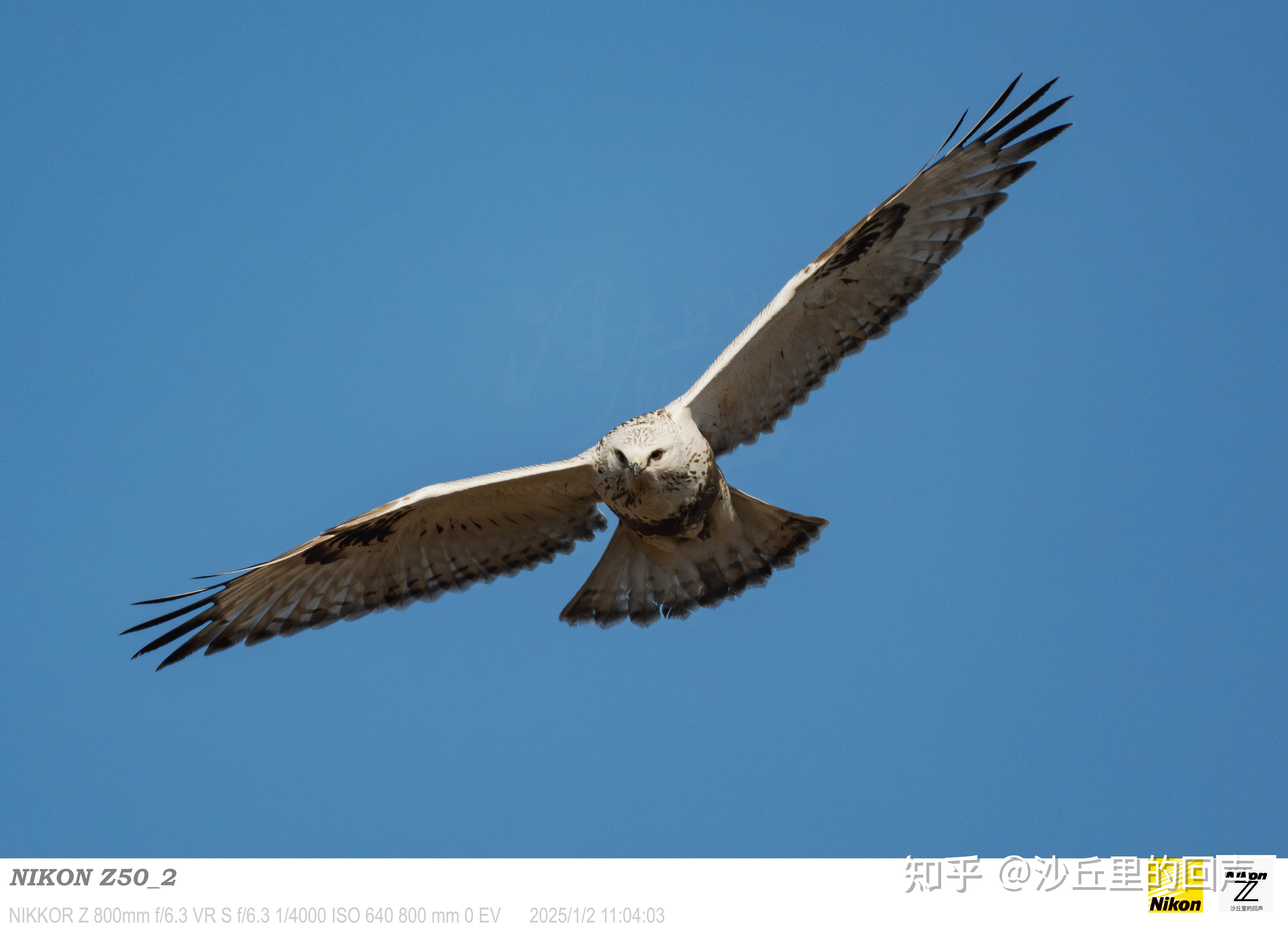 新手小白，2W到头的预算，是选z502还是z52？ - 知乎