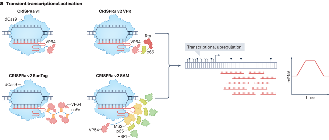 IF=85前沿综述 | CRISPR技术三维突破：基因组·表观·转录组编辑全景解析 - 知乎