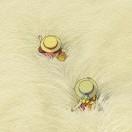 理解伴随法(Adjoint Method)在Neural ODE中的应用 - 知乎