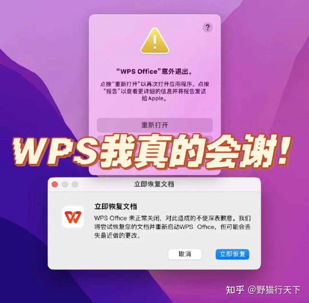 为何高手都用Office不用WPS？你被WPS坑过吗？ - 知乎
