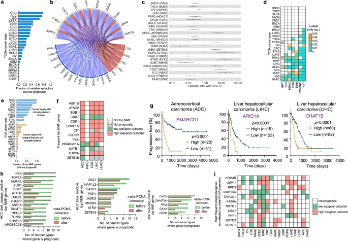 Commun Biol | 基于表观遗传因子表达的泛癌AI模型可准确预测多种癌症类型患者预后 - 知乎