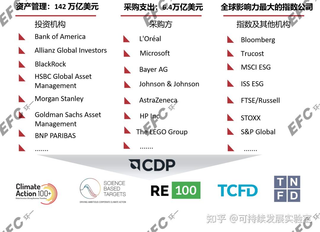 CDP 2025填报策略：问卷设置与评分方法的深度解析 - 知乎