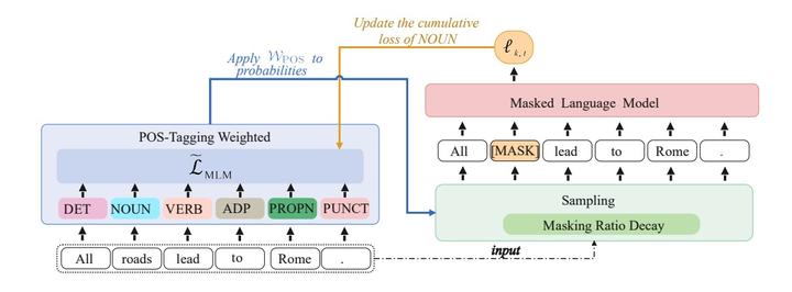 上交提出：更好的语言模型预训练需要更好的Masking - 知乎