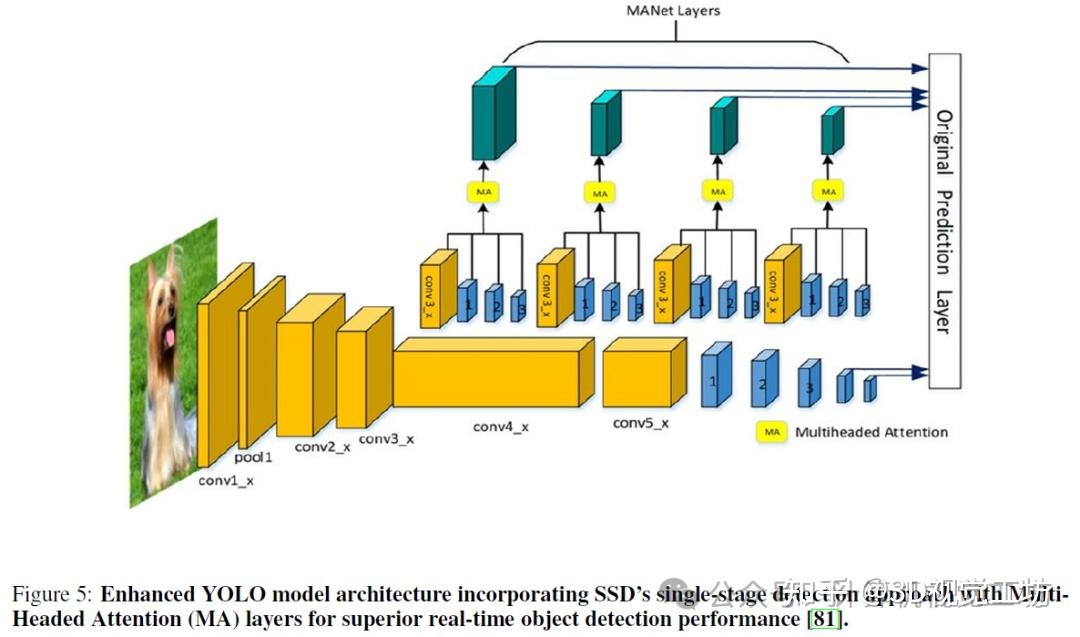 必读综述！YOLO十年之约：从起源到YOLOv10 - 知乎