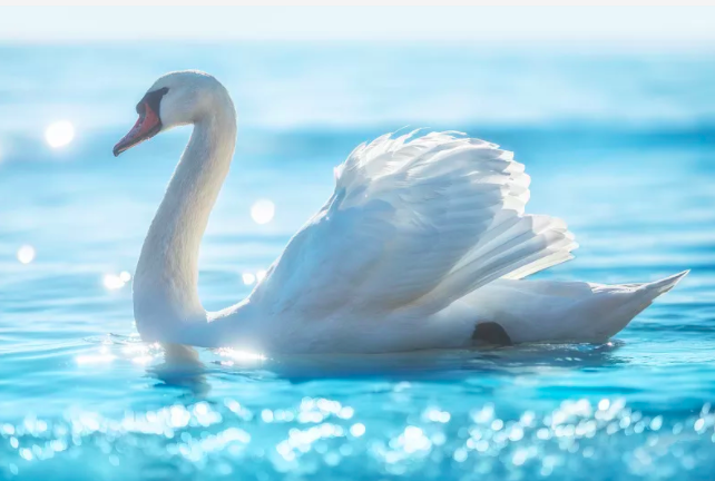 绿天鹅-气候变化时代的中央银行和金融稳定性 - 知乎