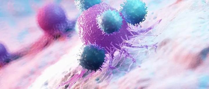 c-Kit/SCF信号轴概述及病理生理作用 - 知乎