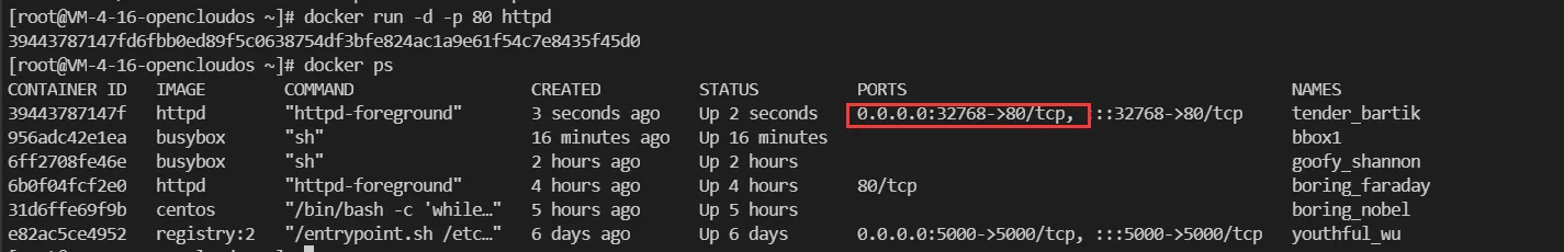 【后台技术】实操Docker容器技术 - 知乎