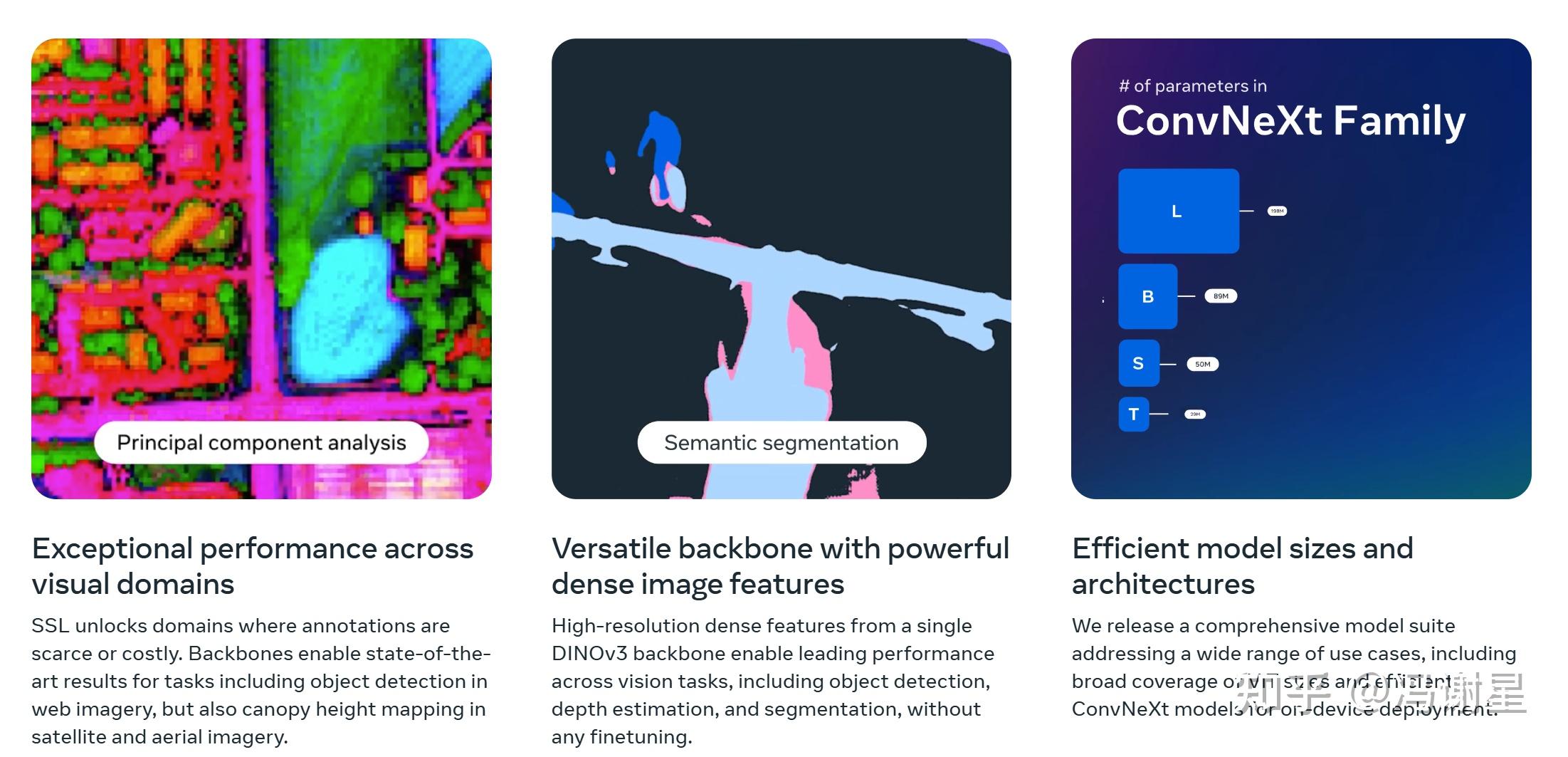最强视觉自监督模型DINO系列超详细解读：DINO / DINOv2 / DINOv3 - 知乎