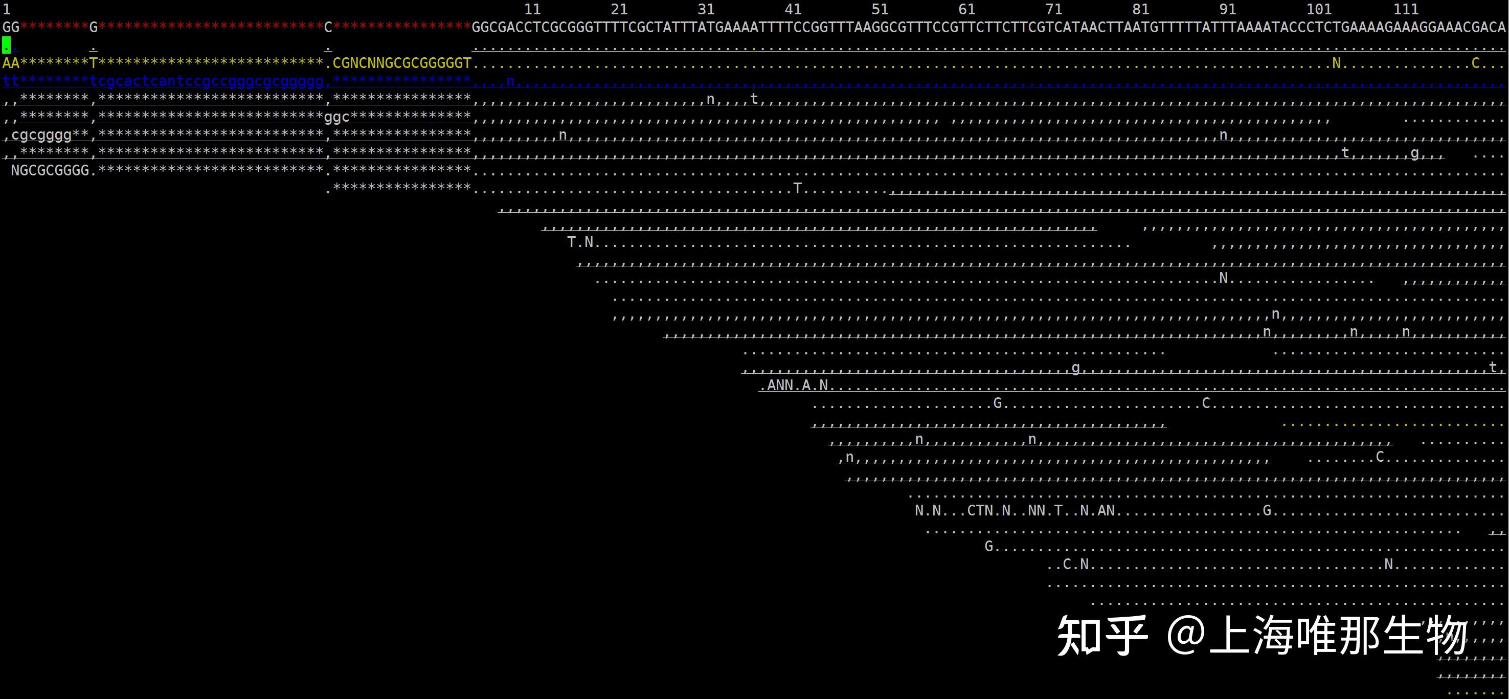 使用SAMtools软件进行序列可视化展示 - 知乎