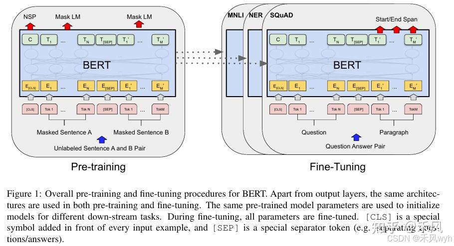 【深度学习】深刻理解BERT模型 - 知乎