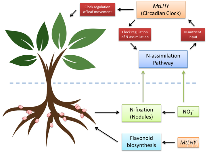 WOFOST模型与PCSE模型实践技术 - 知乎