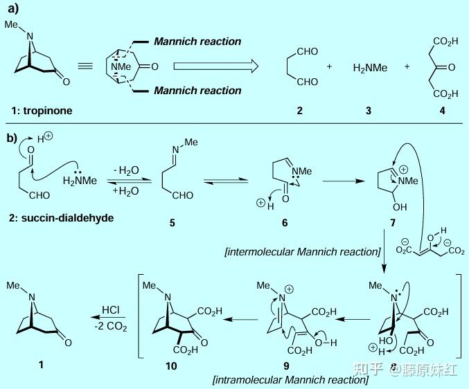 The Art & Science of Total Synthesis - 知乎