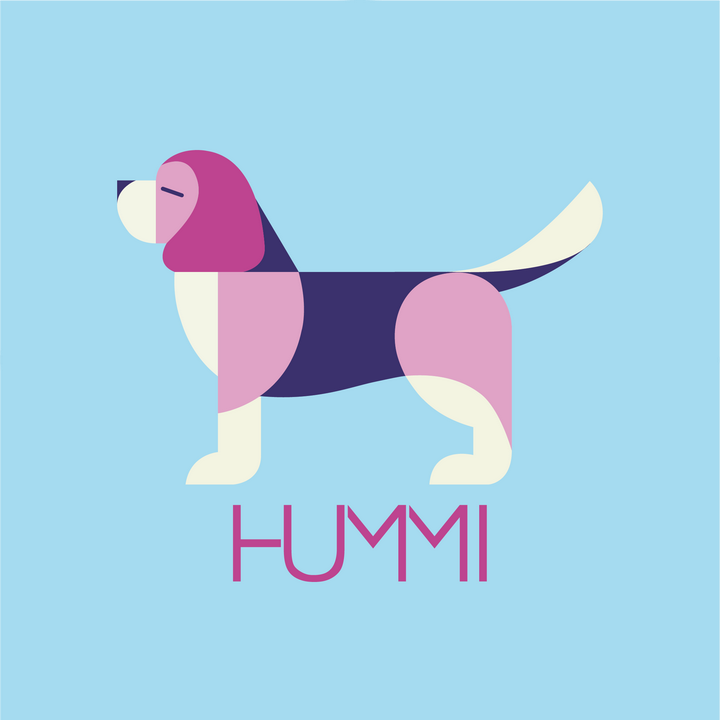 Branding storyof Hummi - 知乎