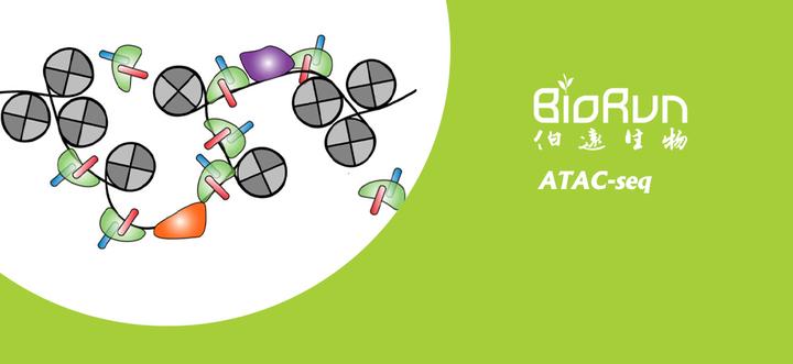 解析表观遗传学的工具——ATAC-seq（一） - 知乎