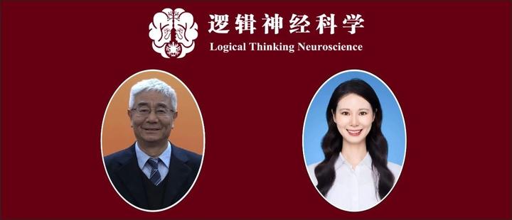 Neurosci Bull 综述︱南方医科大学高天明院士团队评述星形胶质细胞在记忆中的作用 - 知乎