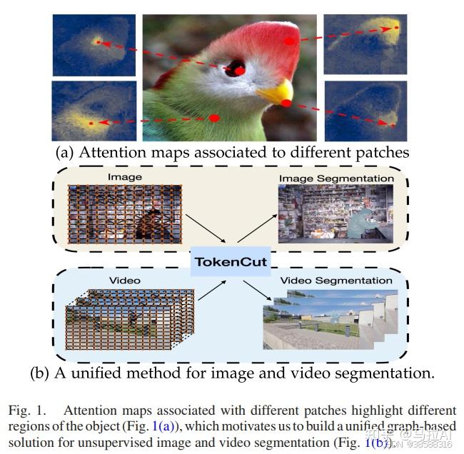 TPAMI 2024 | TokenCut：使用自监督 Transformer 和正则化剪切对图像和视频中的目标进行分割 - 知乎