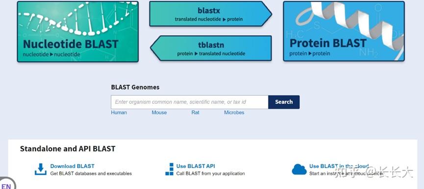 2022-windows本地BLAST+安装 - 知乎