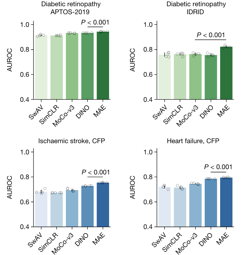 Nature 正刊｜RETFound 视网膜基础模型论文分享 - 知乎